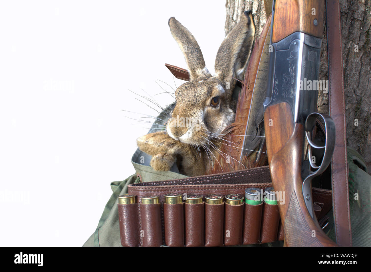 Hunting items. hunting concept. hunting background. Hunting scene with ...