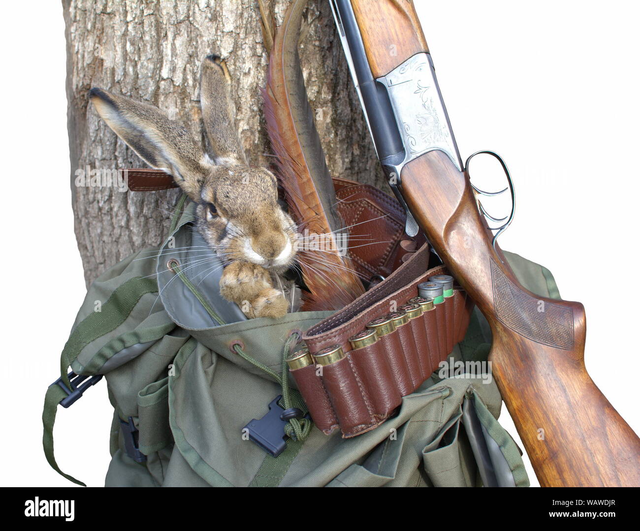 Hunting items. hunting concept. hunting background. Hunting scene with ...