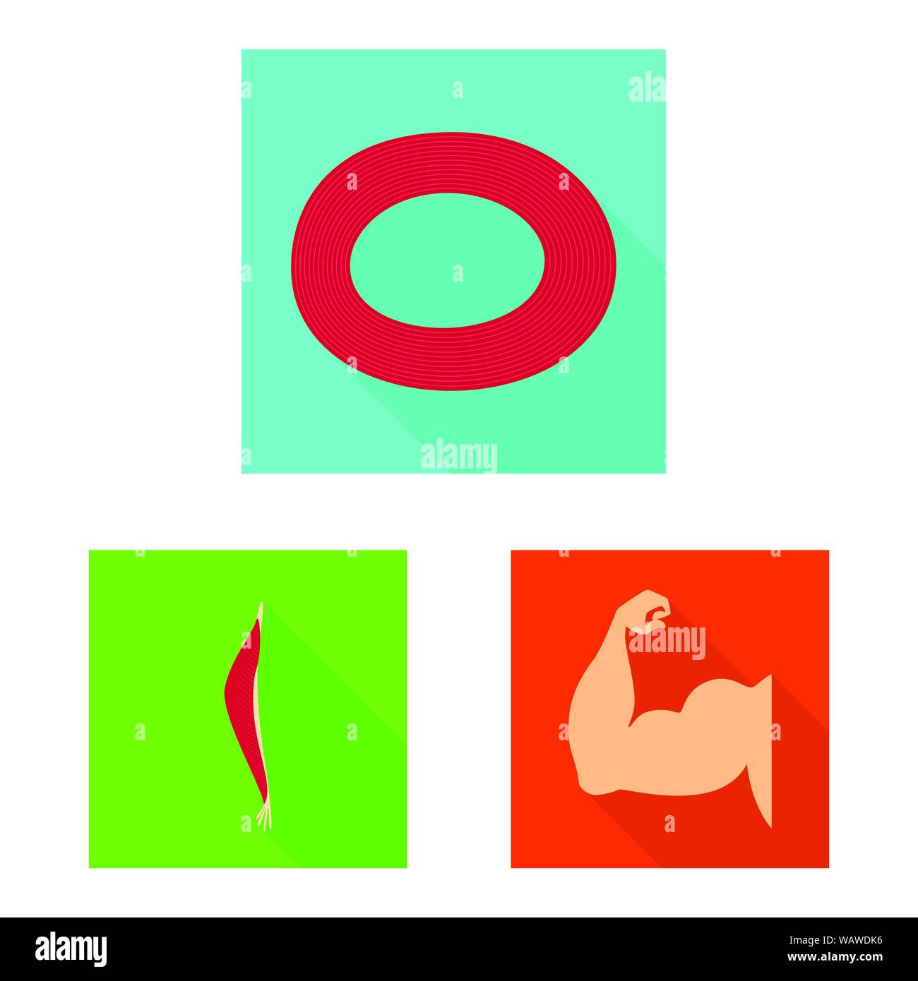 Isolated object of muscle and cells logo. Set of muscle and anatomy ...