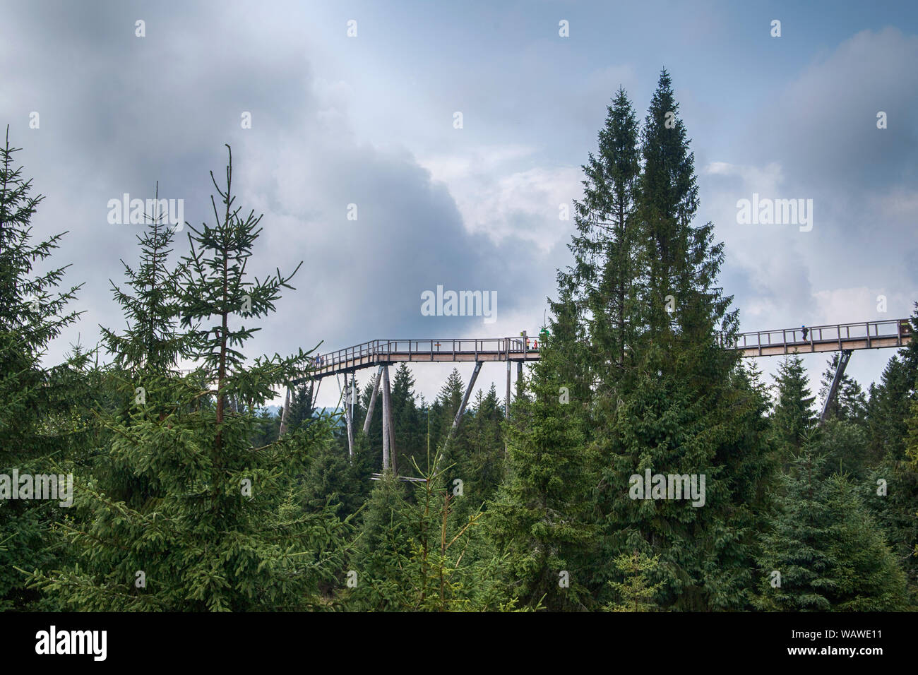 Wooden path among the trees with view on Tatra montains, named "Chodník ...