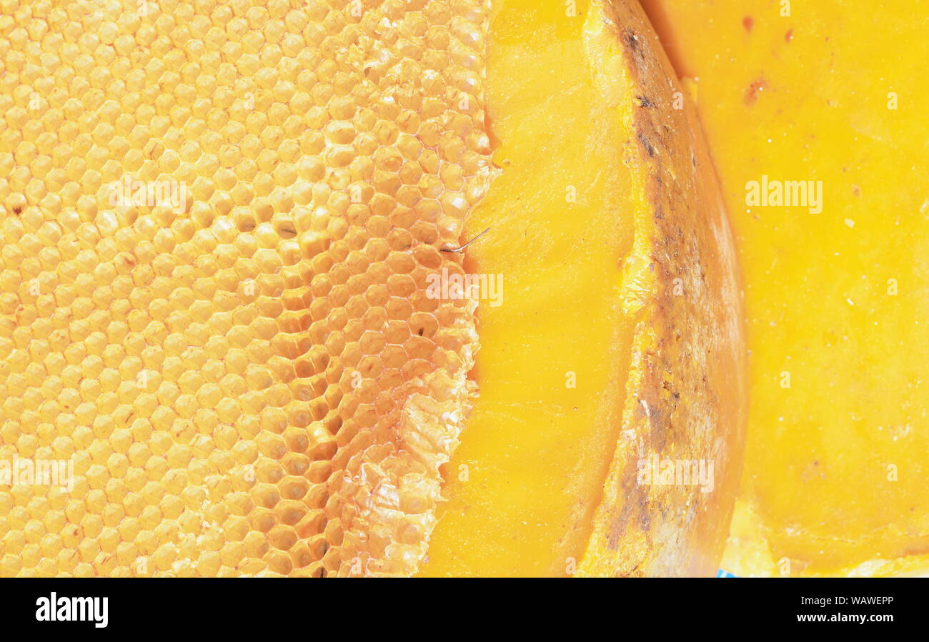 Large pieces of beeswax Stock Photo - Alamy