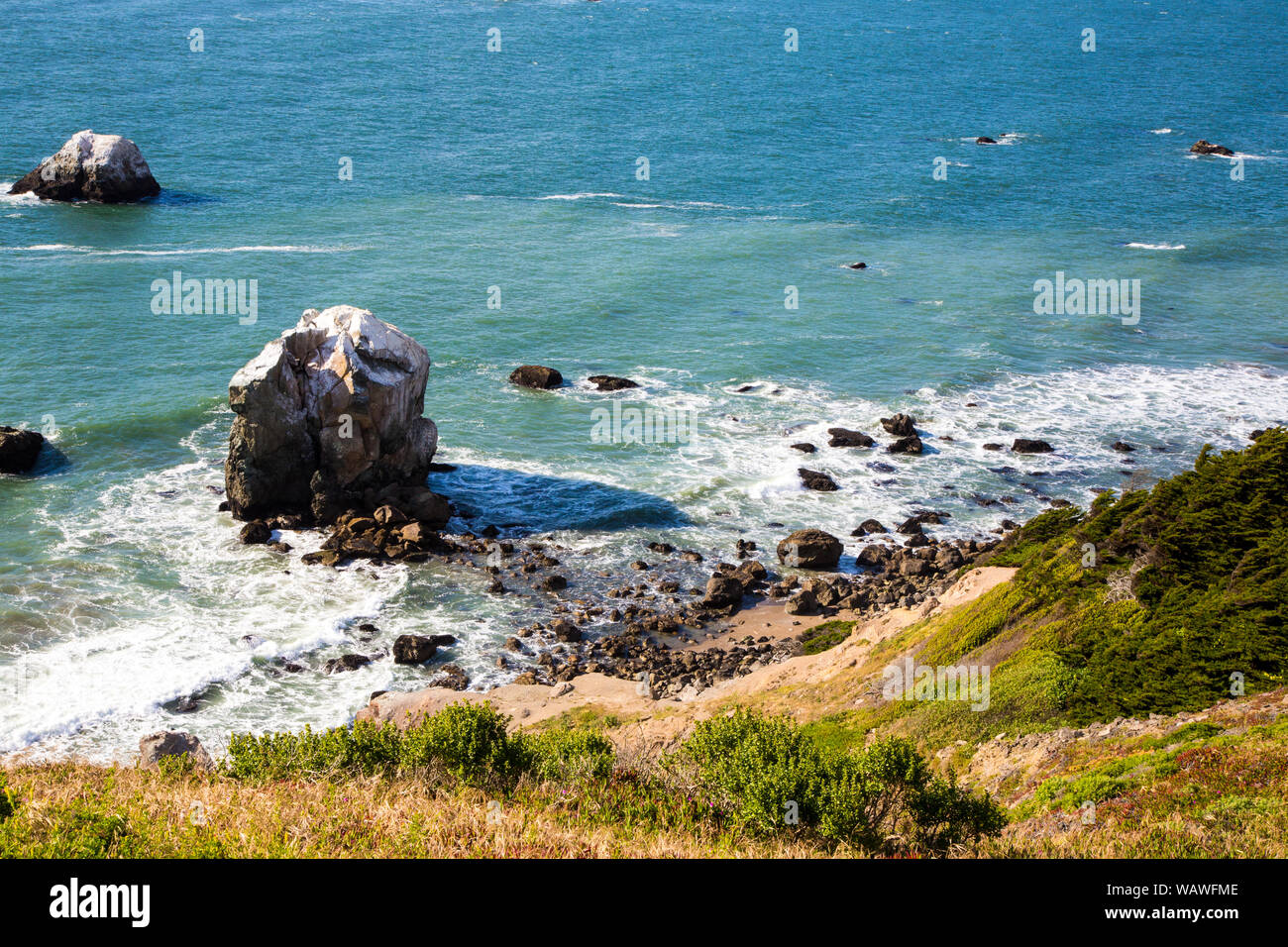 Views of the forest and bay from San Francisco's Lands End Stock Photo ...