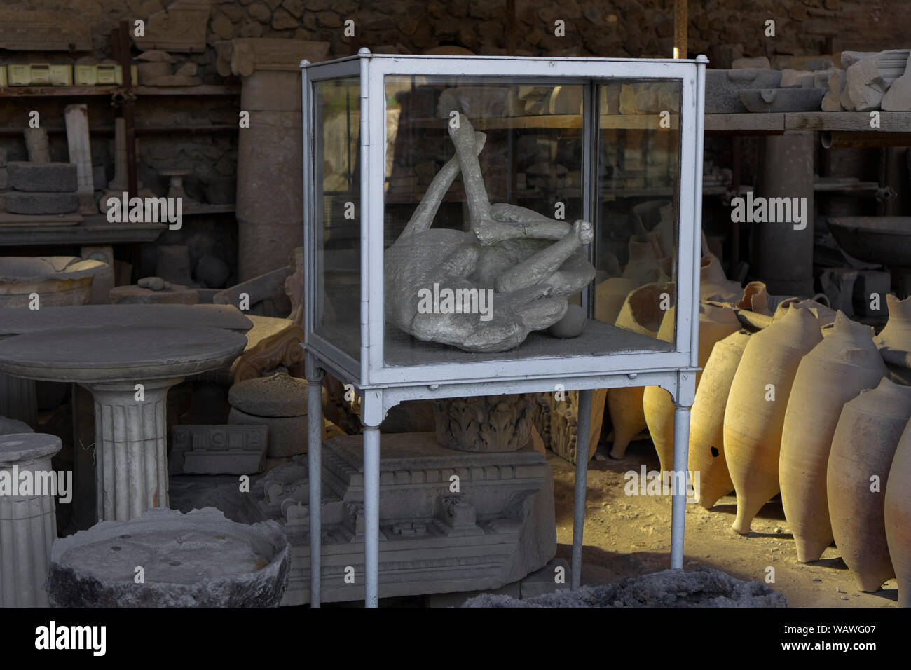 Animal plaster casts pompeii hi-res stock photography and images - Alamy