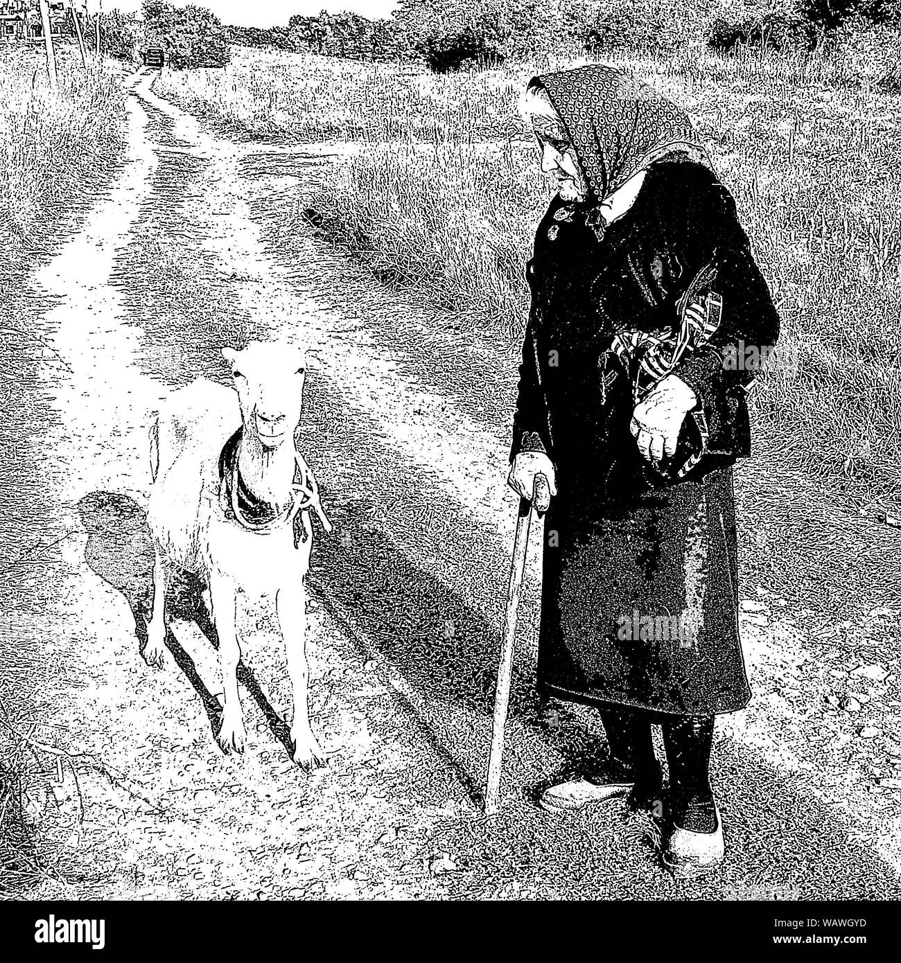 Woman Walking Goat High Resolution Stock Photography and Images - Alamy