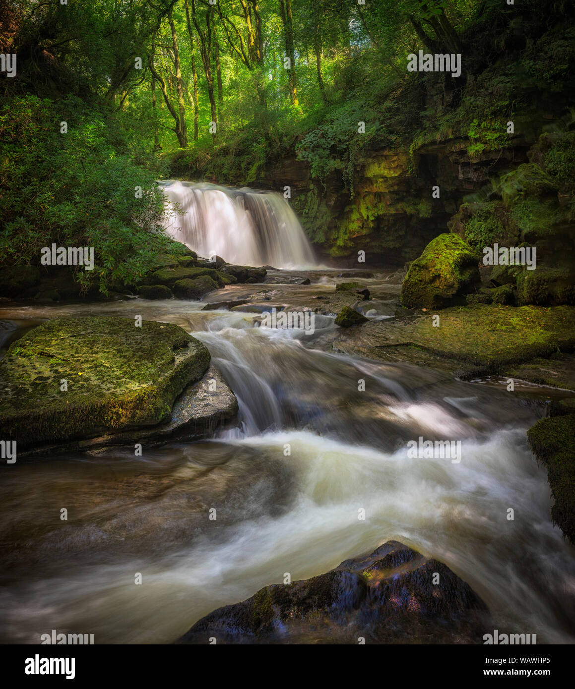 The Upper Clydach River waterfall in Swansea Stock Photo - Alamy
