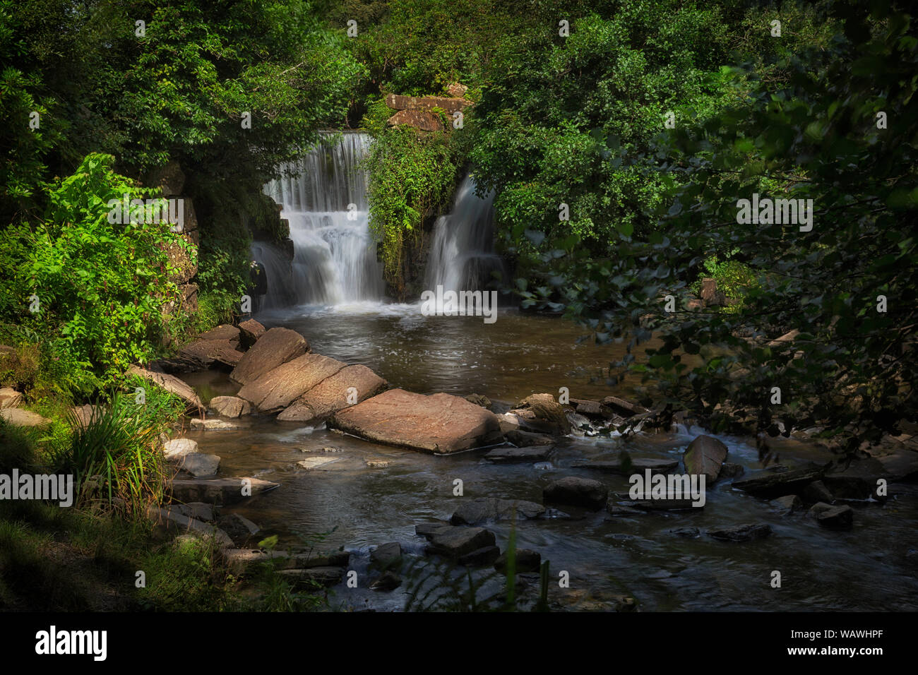 Waterfall penllergare valley woods hi-res stock photography and images ...