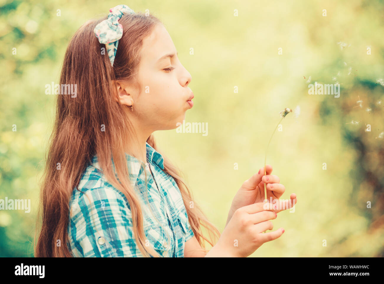 Beliefs about dandelion. Girl making wish and blowing dandelion nature ...