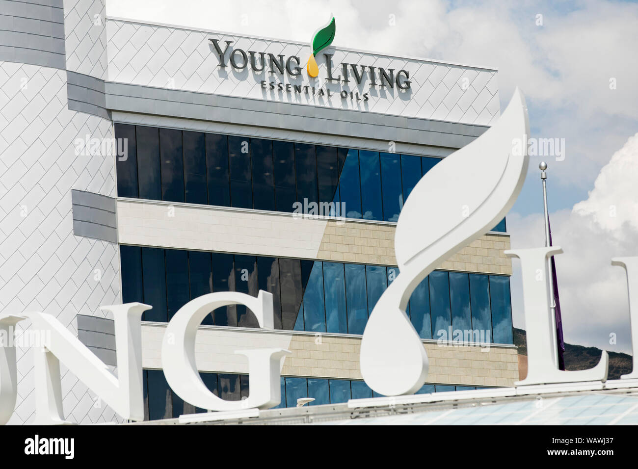 Young Living Logo