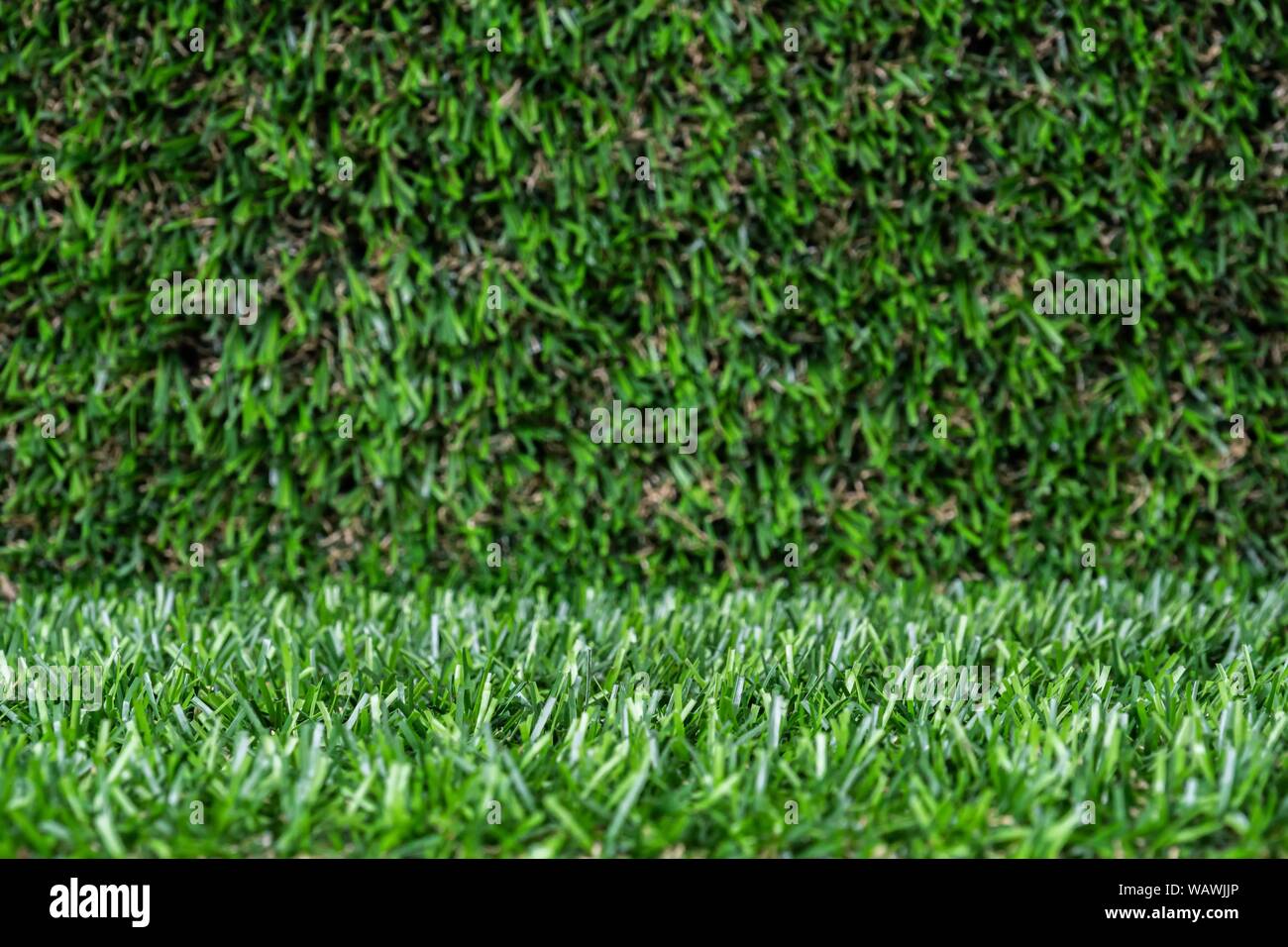 Grass backdrop hi-res stock photography and images - Alamy