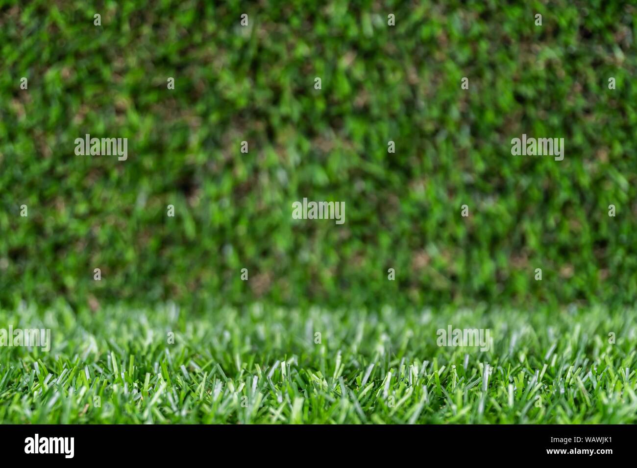 Grass backdrop hi-res stock photography and images - Alamy