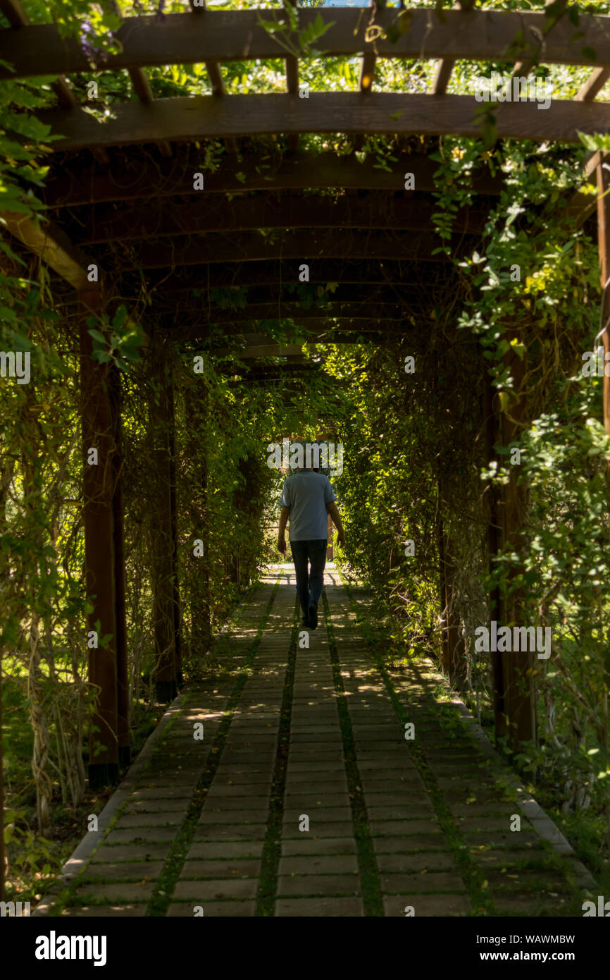 Old man on a beautiful path hi-res stock photography and images - Alamy