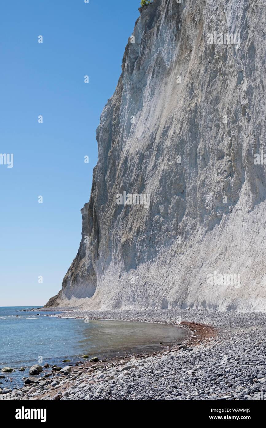 Chalk cliffs at the Baltic Sea, steep coast, Mons Klint, island Mon ...