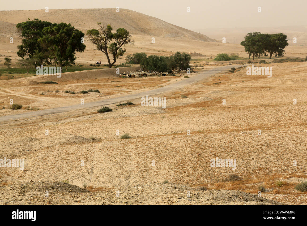 Beersheba negev desert israel hi-res stock photography and images - Alamy
