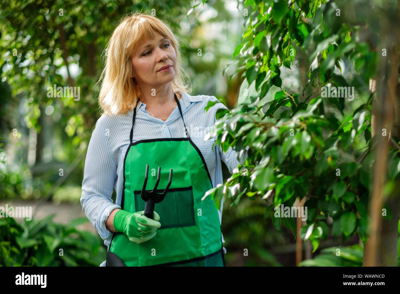 Mature woman working in a botanical garden Stock Photo - Alamy