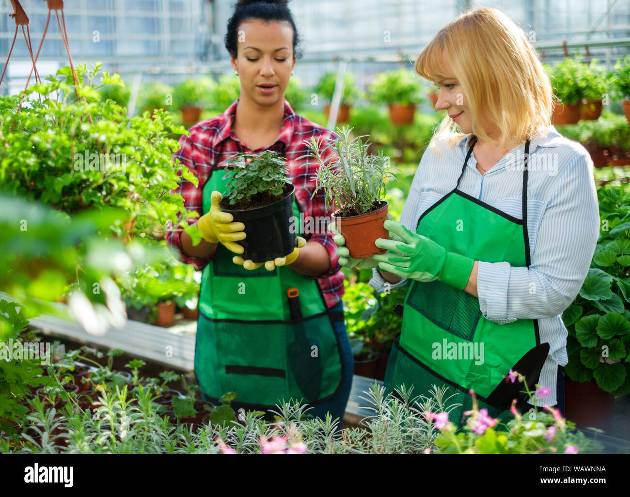 Two women working in a botanical garden Stock Photo - Alamy
