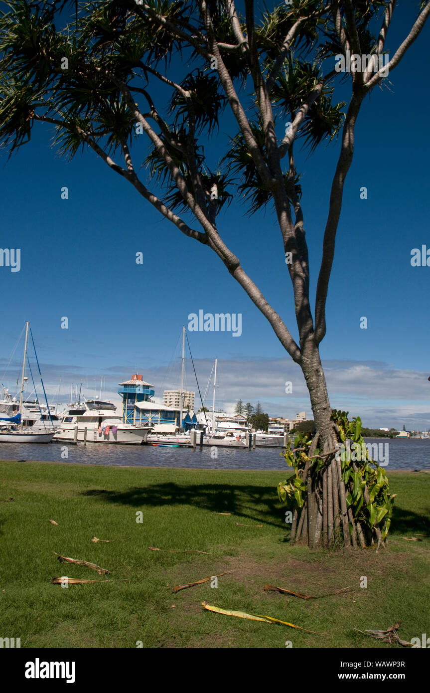 Mooloolaba queensland australia hi-res stock photography and images - Alamy