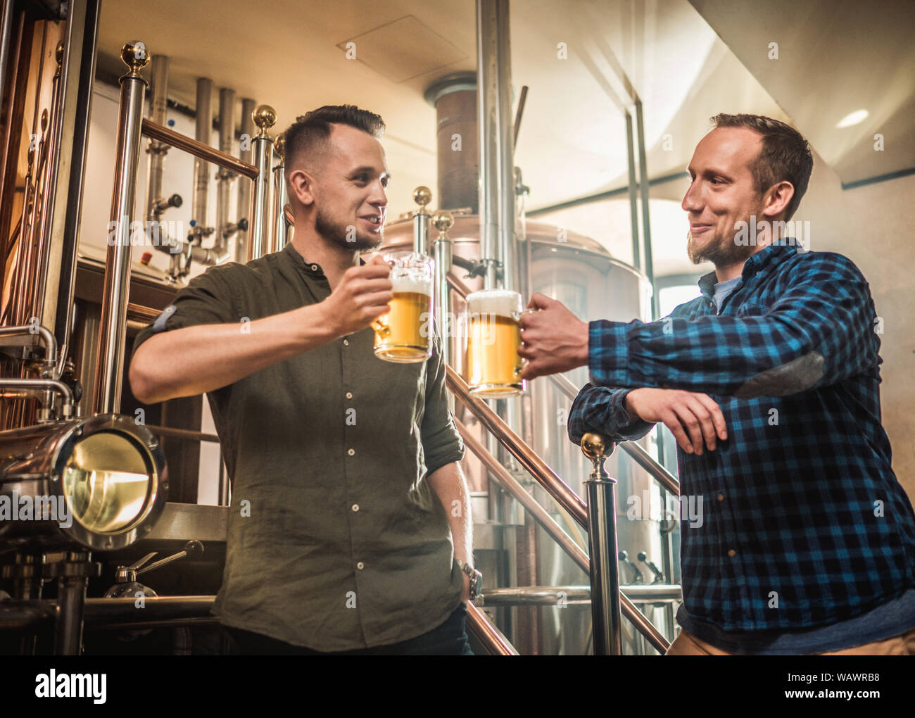 Two men tasting fresh beer in a brewery Stock Photo - Alamy