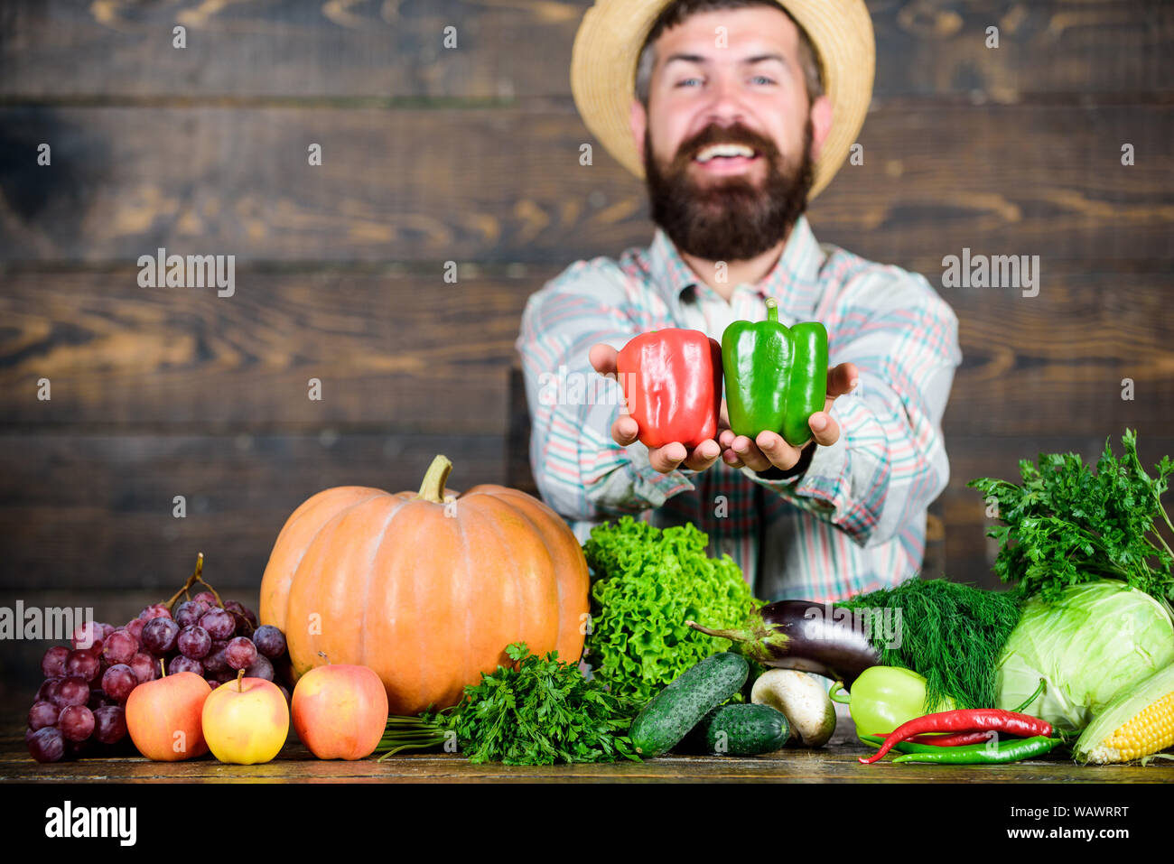Farm market harvest festival. Sell vegetables. Man mature bearded ...