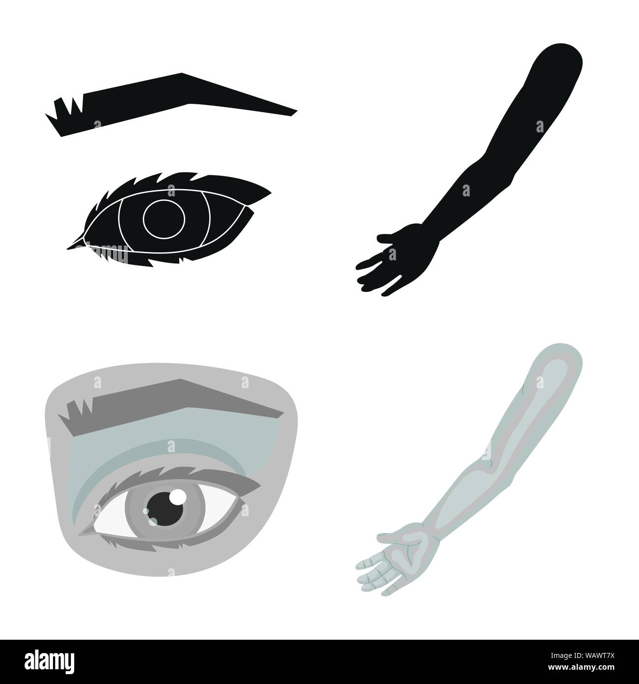 Vector design of body and part icon. Set of body and anatomy vector ...