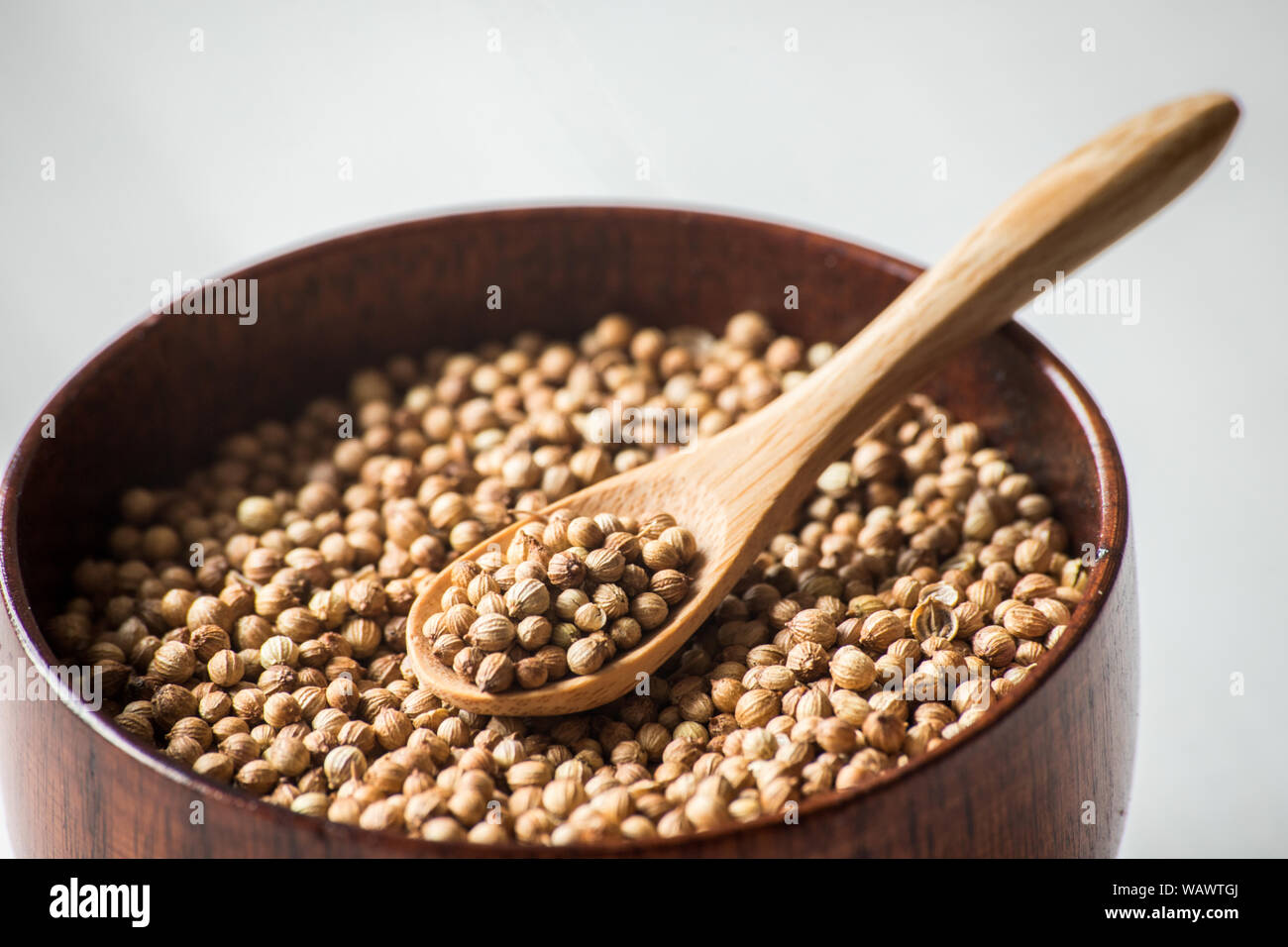cilantro coriander seeds spice Stock Photo - Alamy