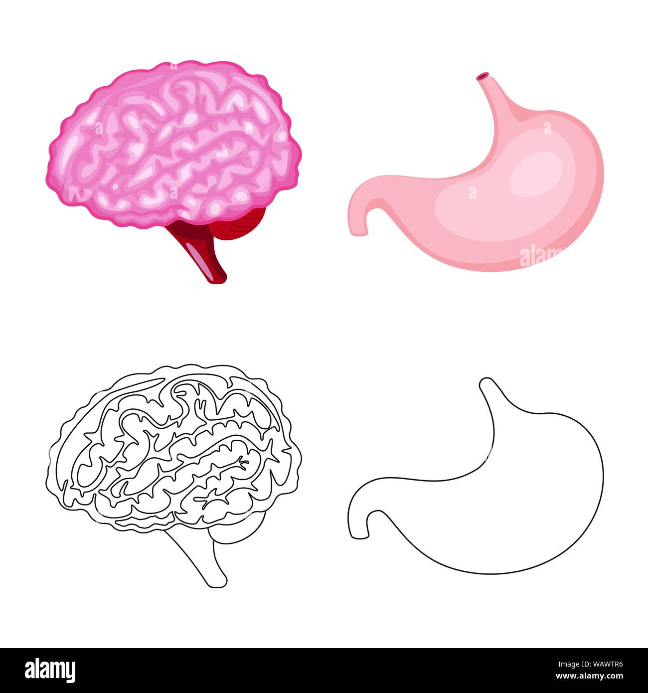 Vector illustration of biology and scientific icon. Collection of ...