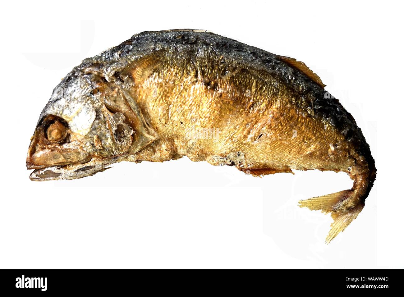Fried mackerel isolated on white background, Sea fish tastes good Stock ...