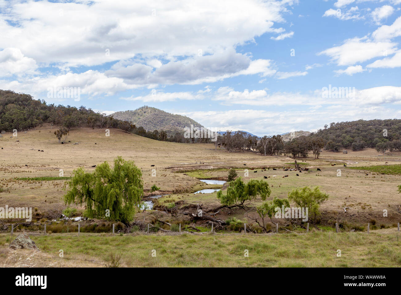 Trees and paddocks in Capertee Valley, NSW, Australia Stock Photo - Alamy
