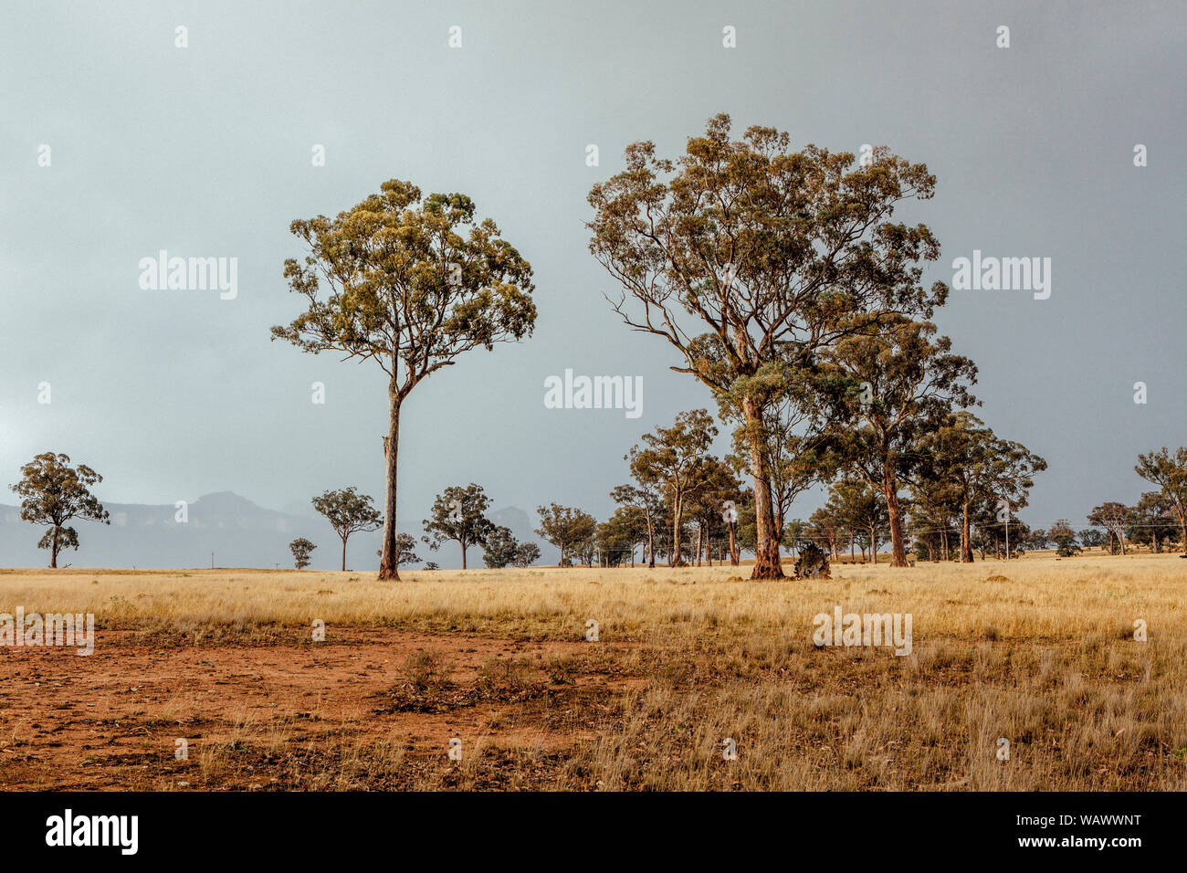 Wide plains within the Capertee Valley, NSW, Australia Stock Photo - Alamy