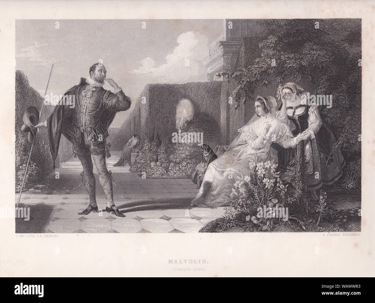 Print of Malvolio from Shakespeare's play ' Twelfth Night' Stock Photo ...