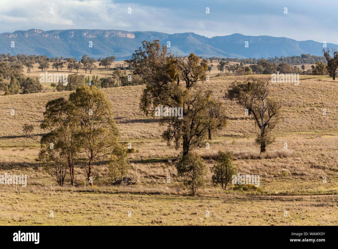 Undulating grassy plains, backed by sandstone ridges, in the Capertee ...