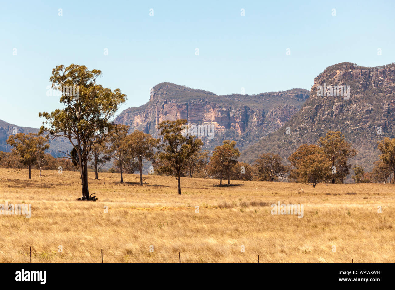 Grassy plains backed by sandstone ridges and escarpments in the ...