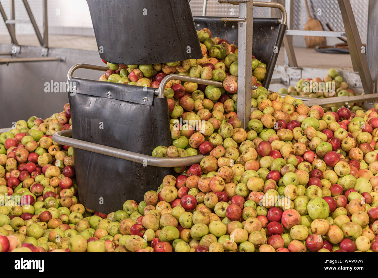 Apple harvesting equipment hi-res stock photography and images - Alamy