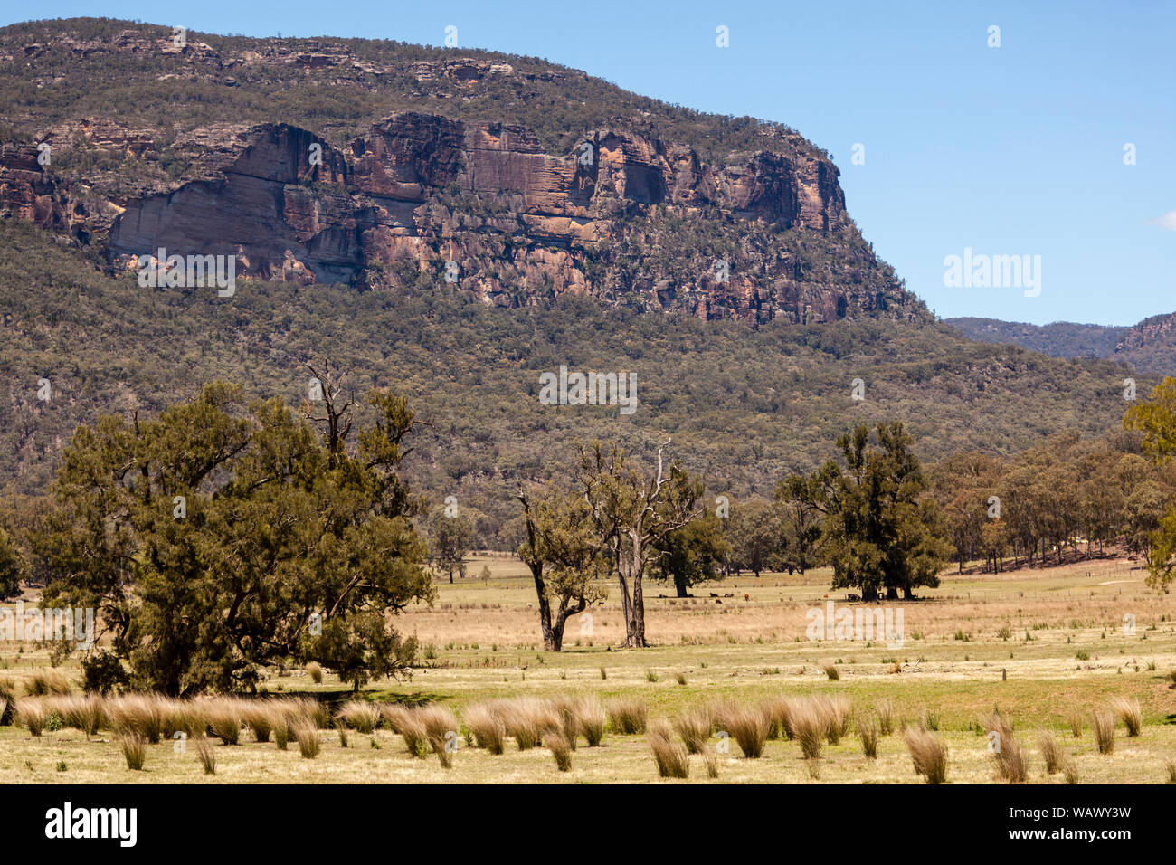 Grassy plains backed by sandstone ridges and escarpments in the ...