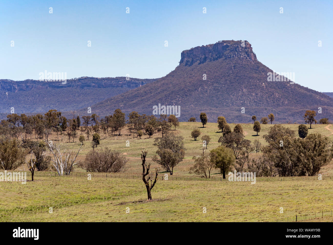 Sandstone ridges and escarpments surrounding the valley floor in the ...