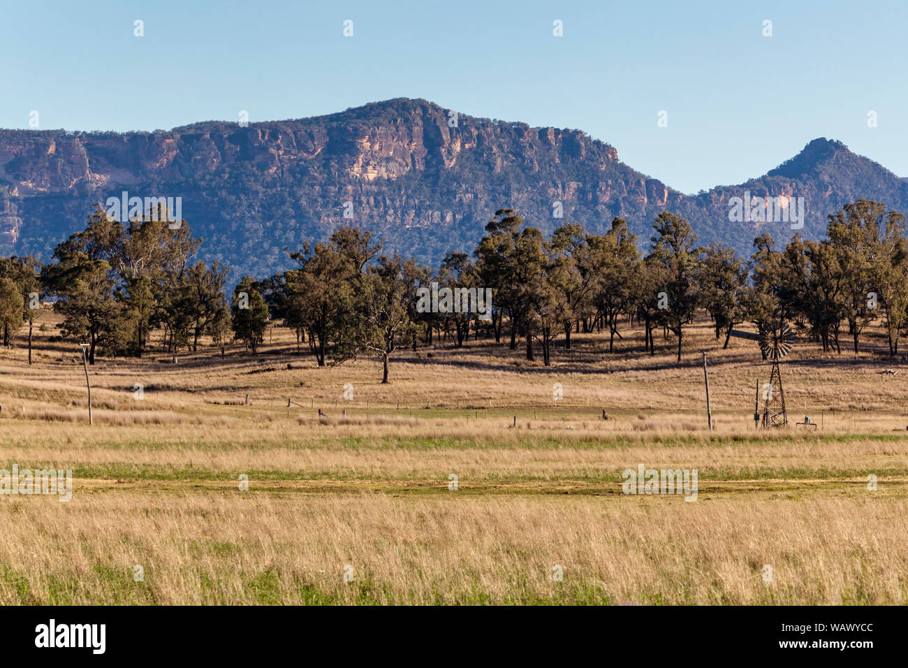 Grassy paddock with windmill, backed by sandstone ridges and ...