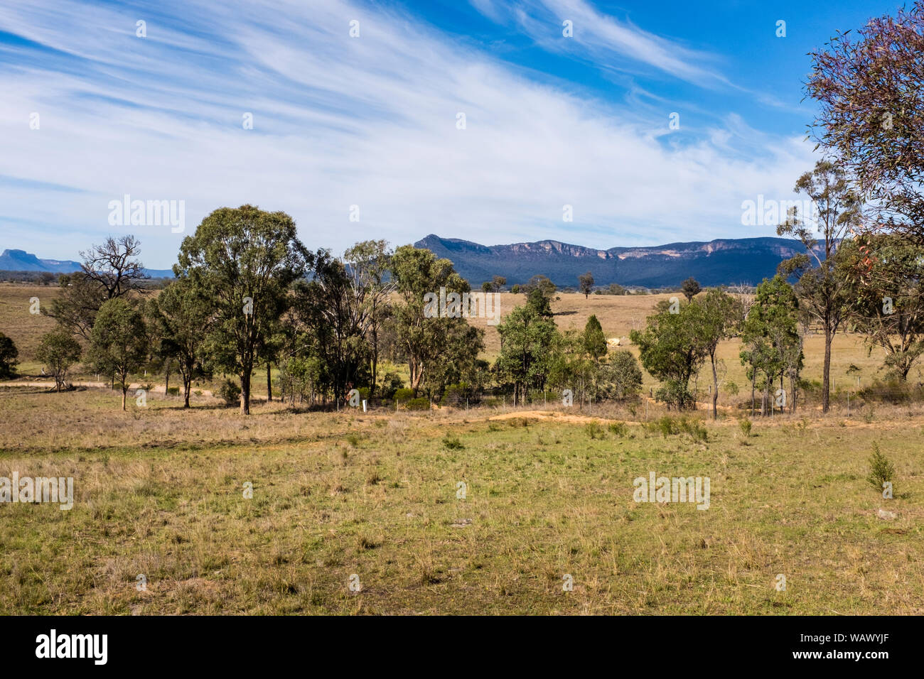 Grassy plains backed by sandstone ridges in the Capertee Valley, NSW ...