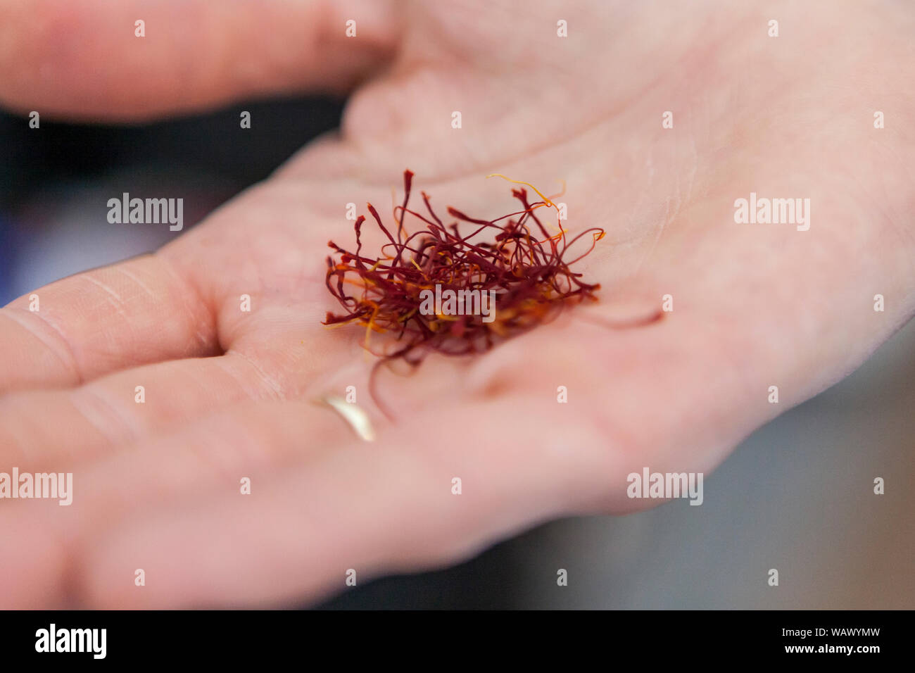 Person threads hi-res stock photography and images - Alamy