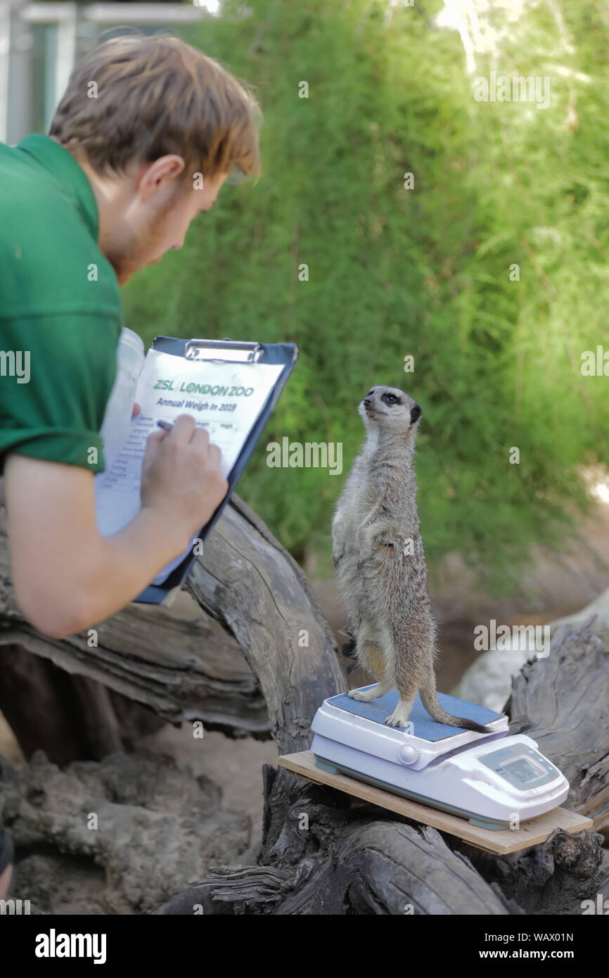 Zoos keepers hi-res stock photography and images - Alamy