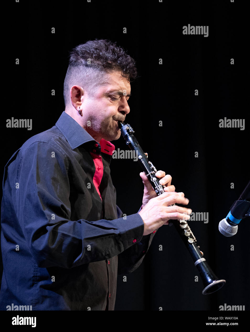 Merlin shepherd hi-res stock photography and images - Alamy