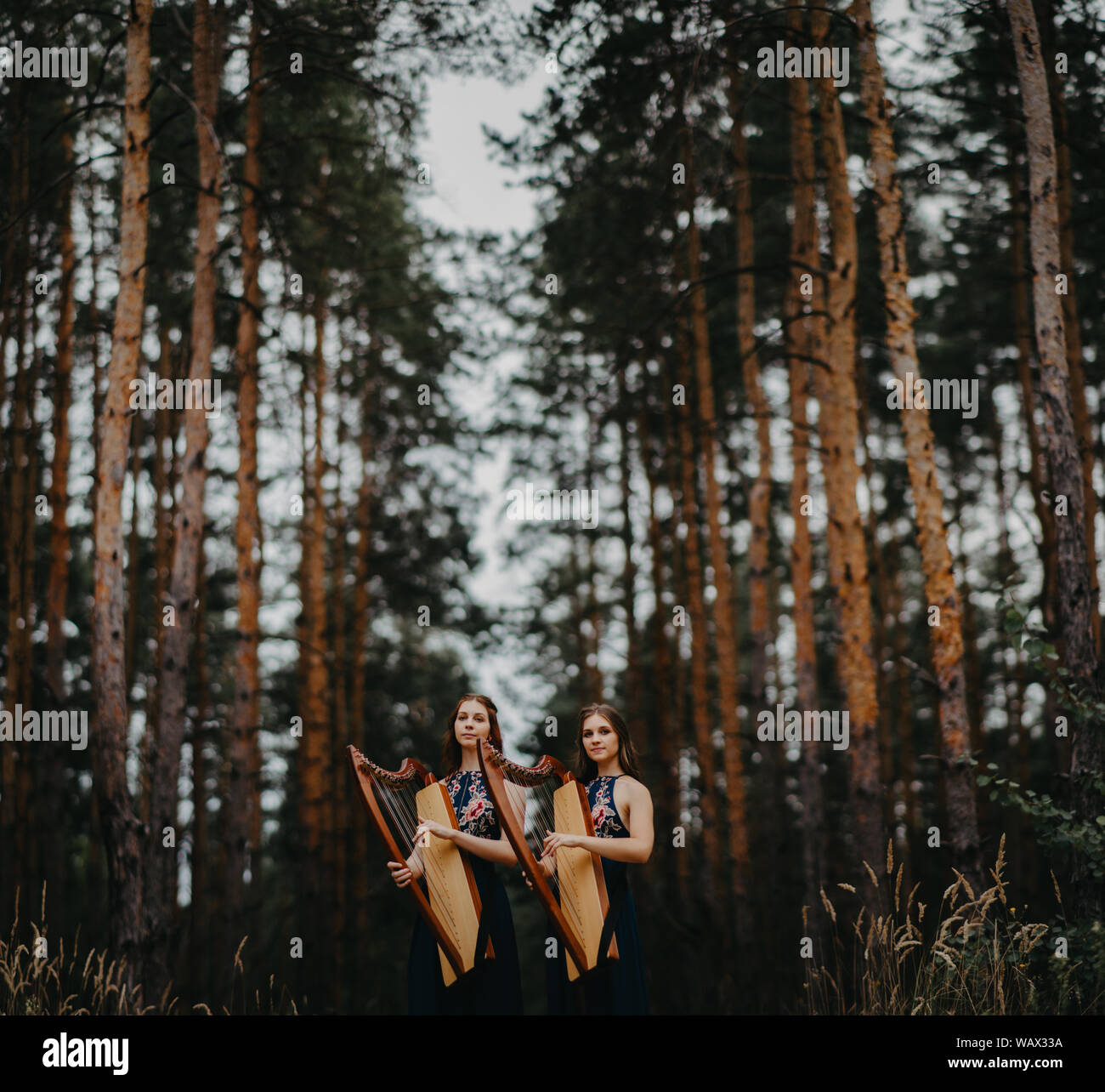 Two women harpists stand at forest and play harps in beautiful dresses ...
