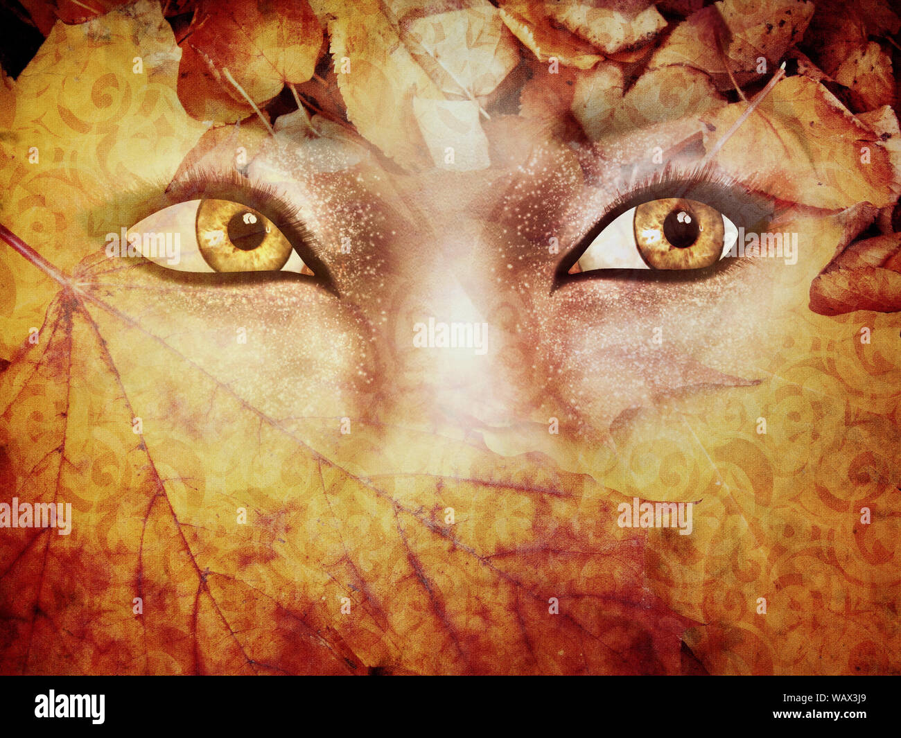 Abstract illustration of autumn leaves background and girl's face Stock ...