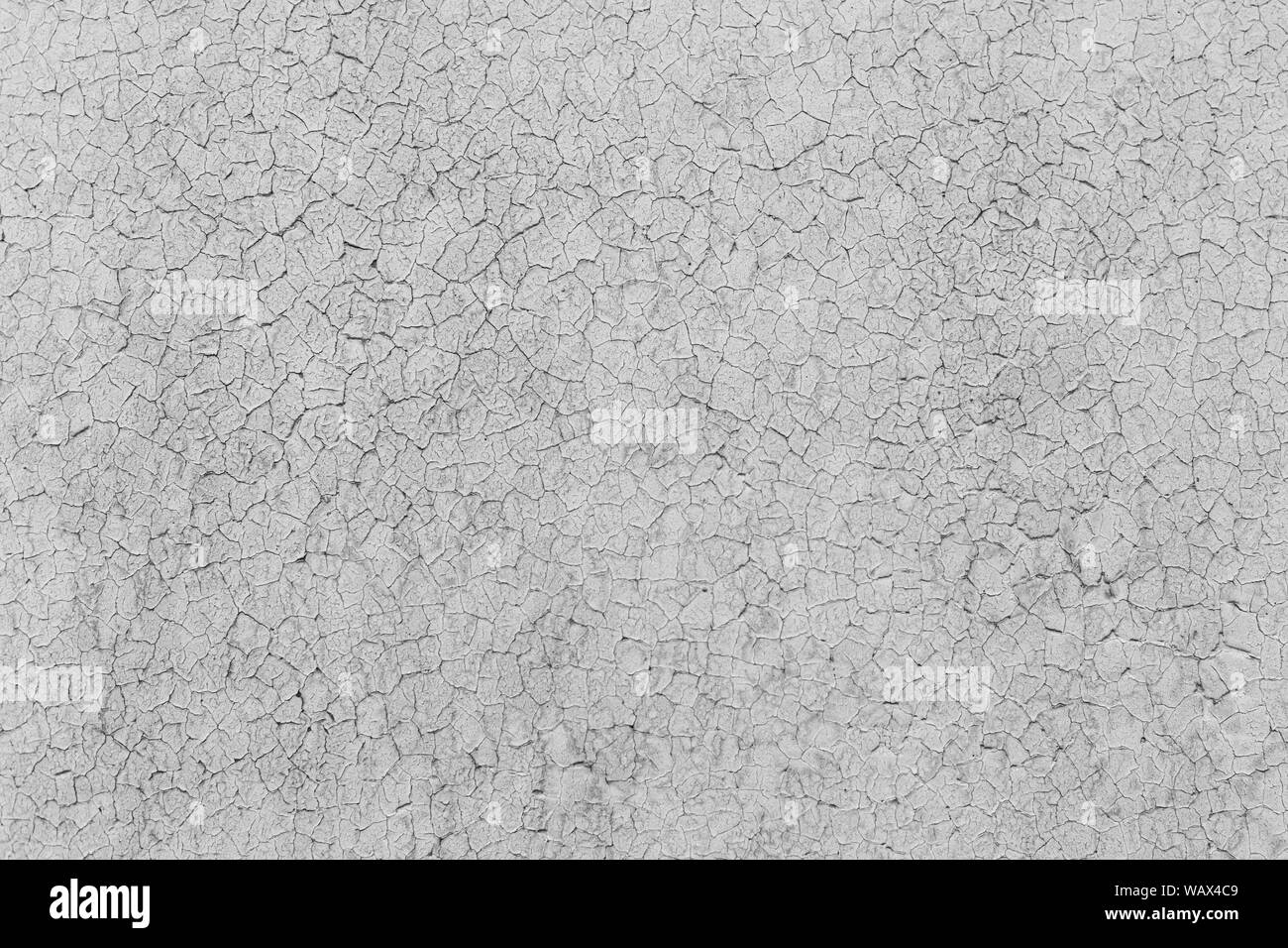 Grey rustic texture background with craquelure. Monochrome. Black and ...