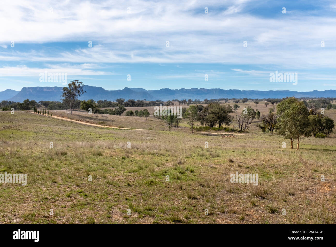 Grassy plains backed by sandstone ridges in the Capertee Valley, NSW ...