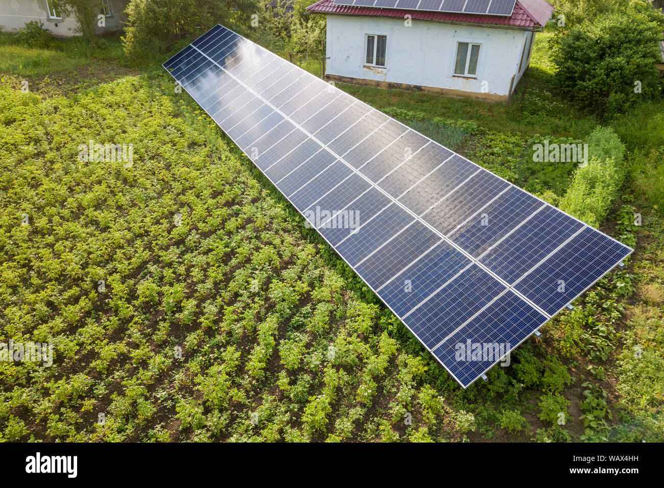 Blue solar panels for clean energy on green grass Stock Photo - Alamy