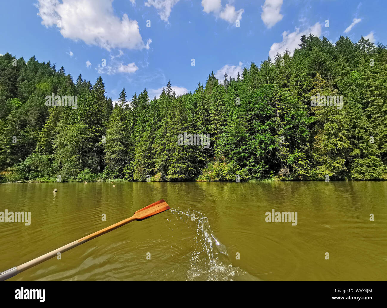 Boat paddle splashing water in the forest lake Stock Photo - Alamy