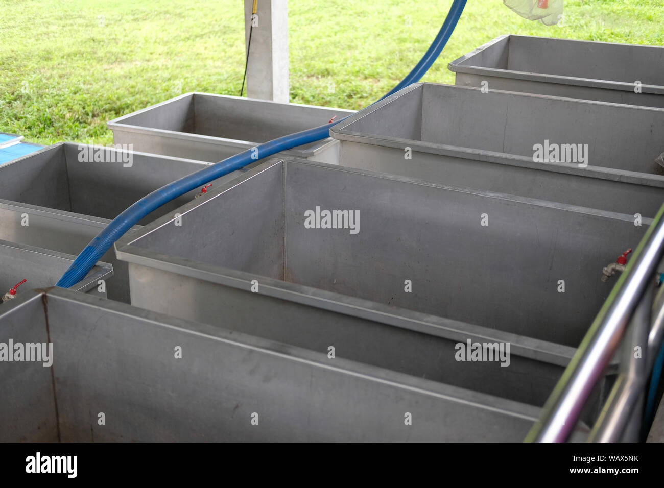 bucket for coffee washing in wet processing method in food factory ...