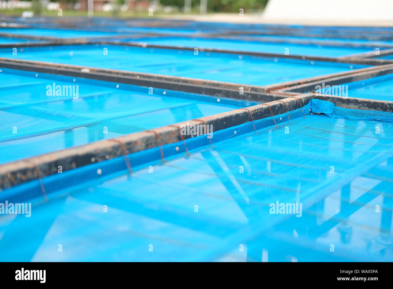 tray for drying food ingredient by sunlight. sun dryer is traditional ...