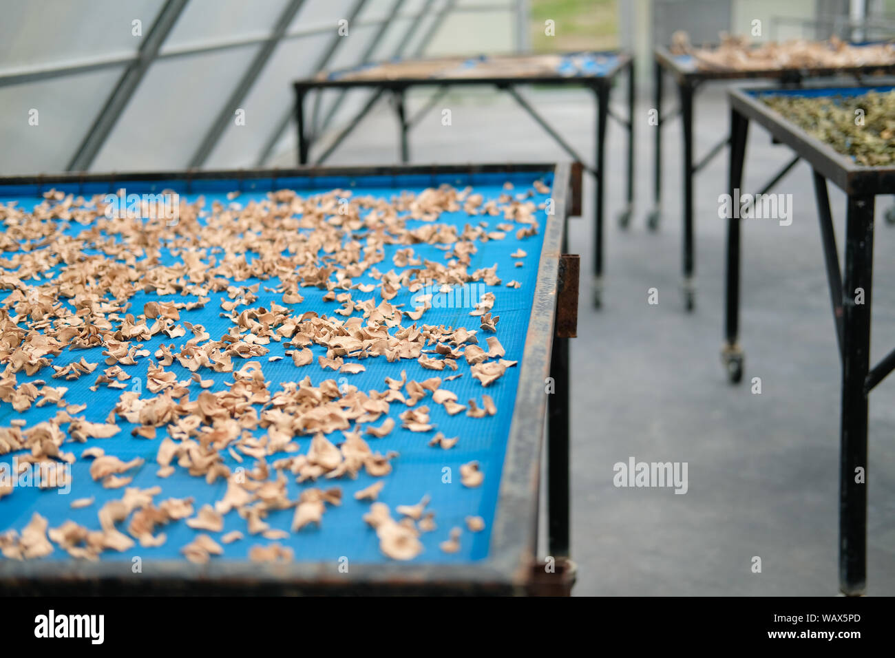 Solar dryer house hi-res stock photography and images - Alamy