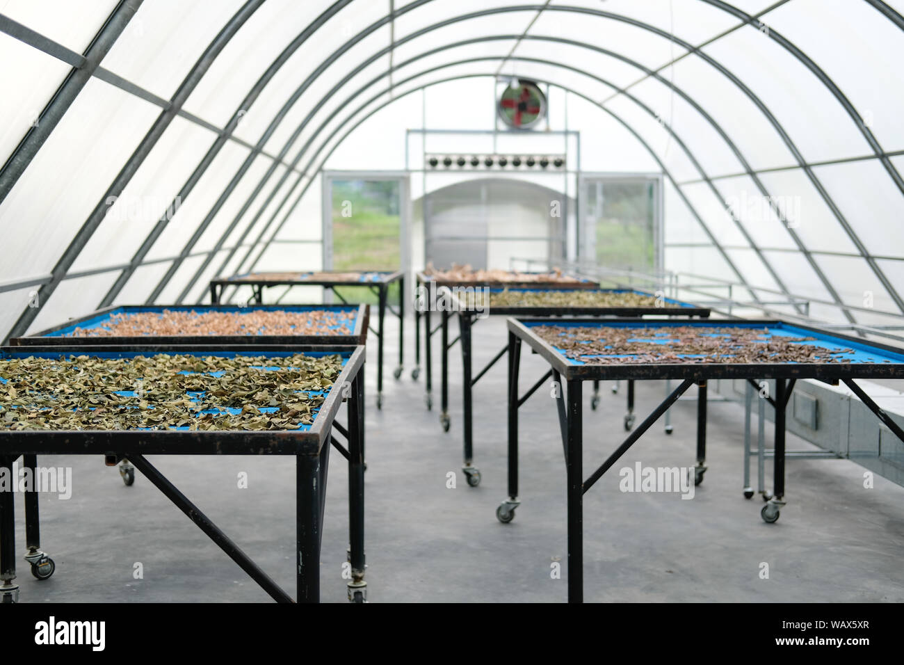 Solar dryer house hi-res stock photography and images - Alamy