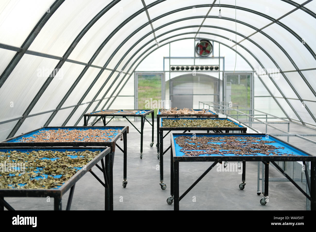 Solar dryer house hi-res stock photography and images - Alamy